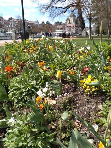 A Spring day out in Annecy, France – Living The Veggie Life